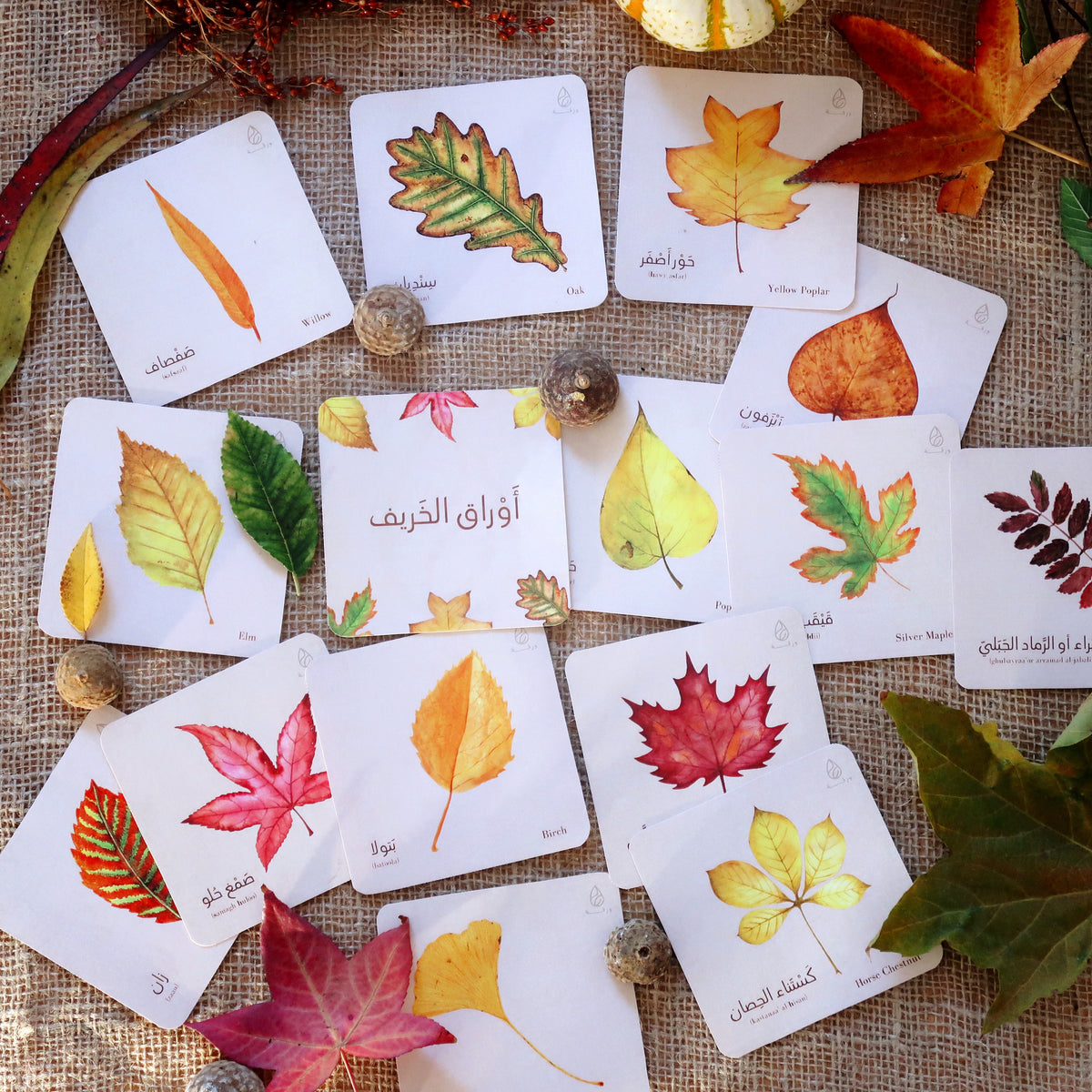 Bilingual Leaf Identification & Bingo Game (Digital Download) – Waraqah ...