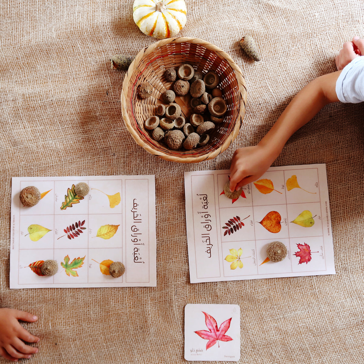 Bilingual Leaf Identification & Bingo Game (Digital Download) – Waraqah ...